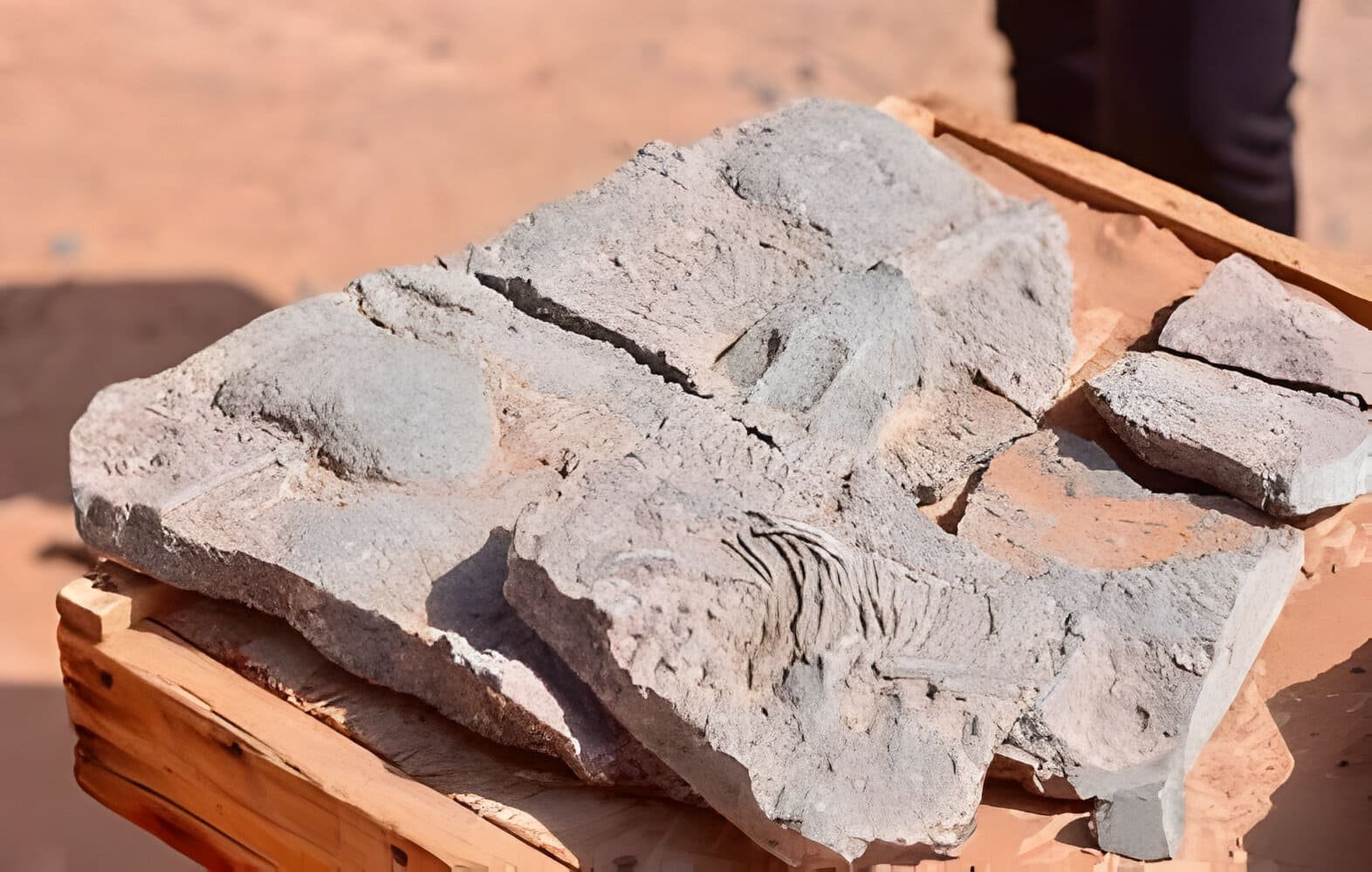 Erfoud Morocco: Gateway to the Sahara Desert - Morocco